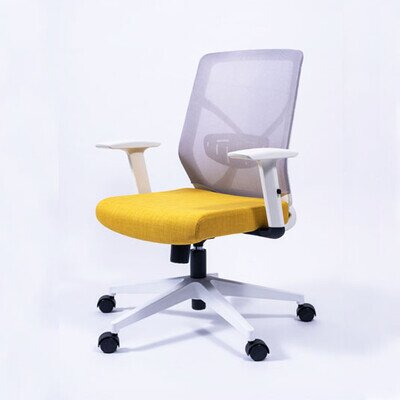 X-Pro Staff Chair